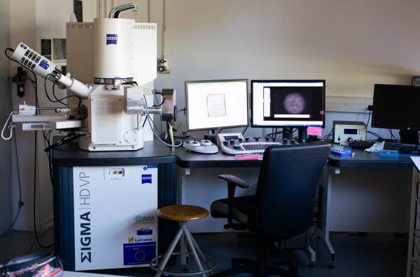 Microscopie Electronique à Balayage